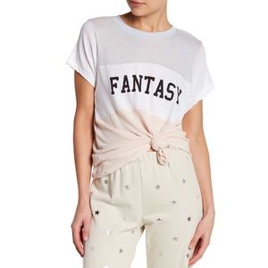 Wildfox | Tops | Wildfox Fantasy Color Blocked Legend Tee Xs New | Poshmark